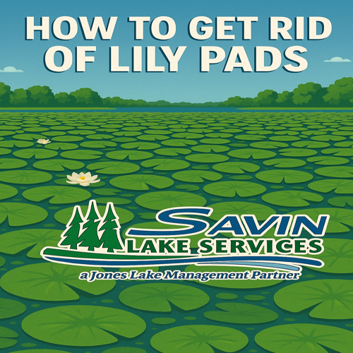 Lily Pads: Pretty Plant or Pond Problem?